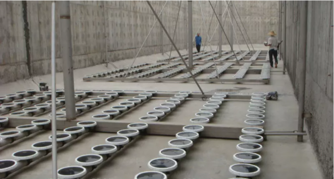 Industrial Wastewater Air Diffuser Fine Bubble Aeration in Water Treatment